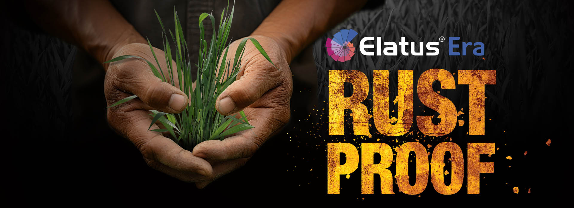 Elatus Era | Syngenta