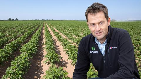 Potato crops benefit from Quantis treatment at tuber initiation
