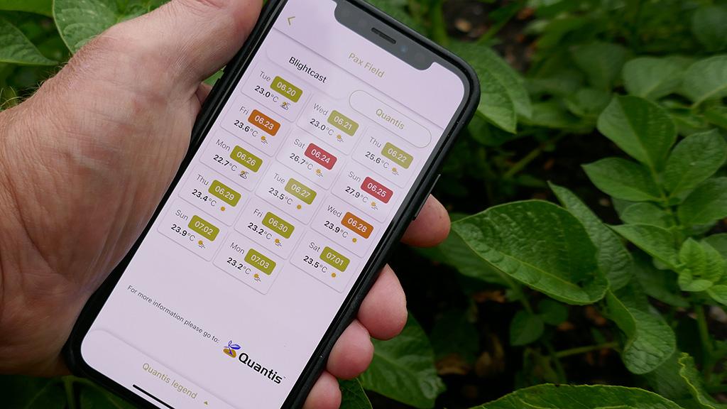 Syngenta App to support potato agronomy decisions