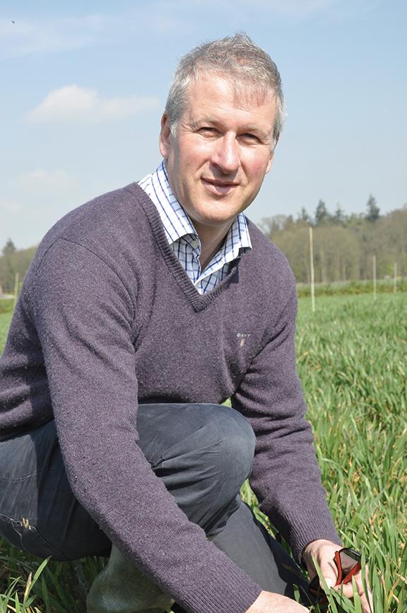 Protect winter wheat
