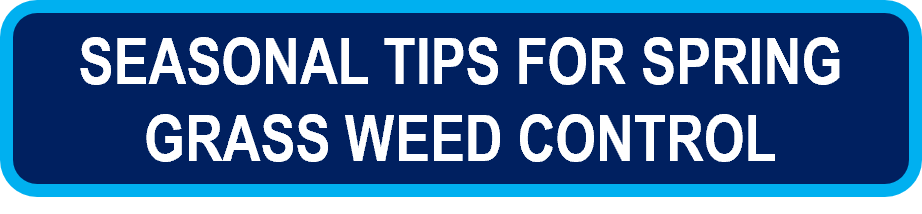 Coping with weather challenges for spring grass weed control | Syngenta