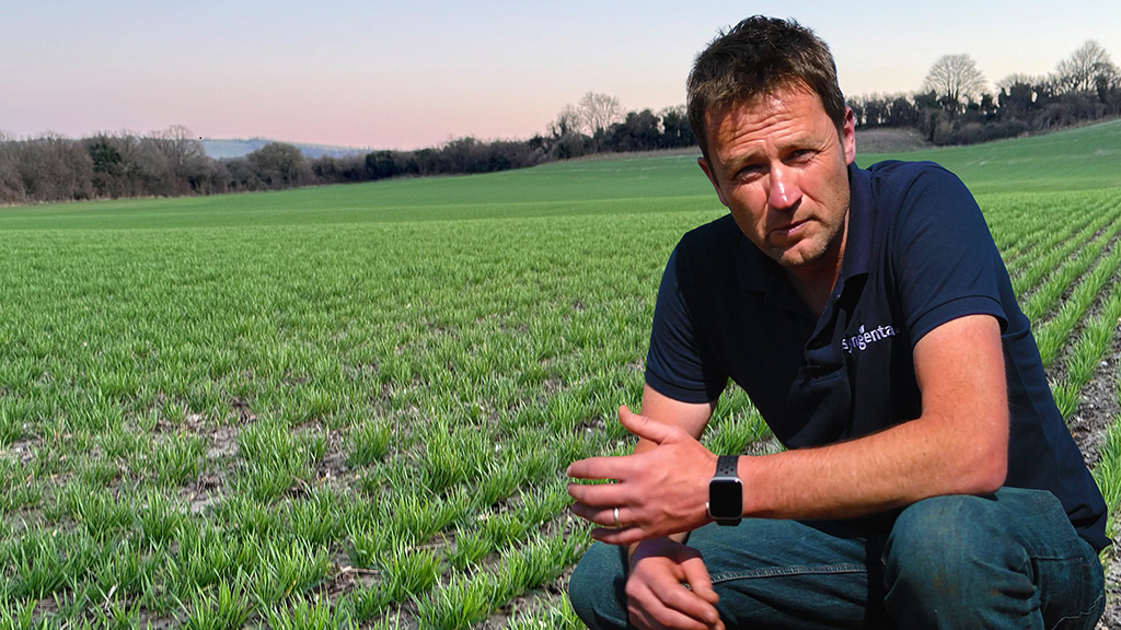 Early Vixeran timing to boost biomass recovery | Syngenta