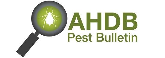 Logotipo De Ahdb UK Farming Unions And AHDB Call For Red Tractor To