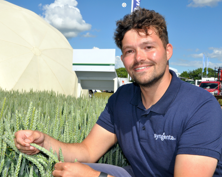 SY CHEER | Syngenta
