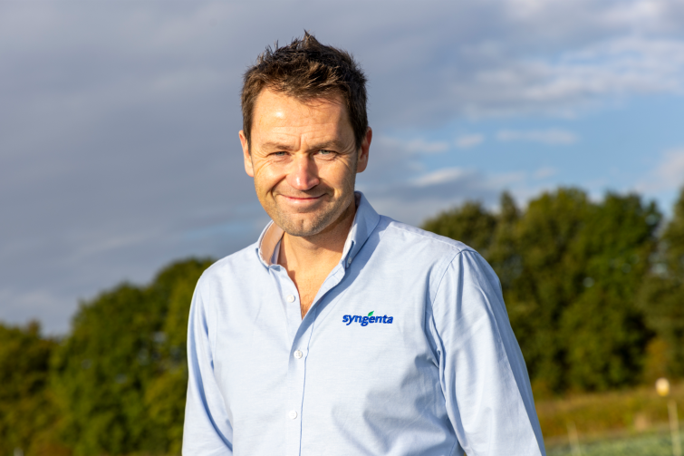 Managing Potato Late Blight | Syngenta