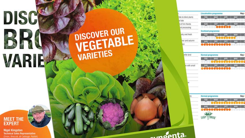 Vegetable Varieties | Syngenta
